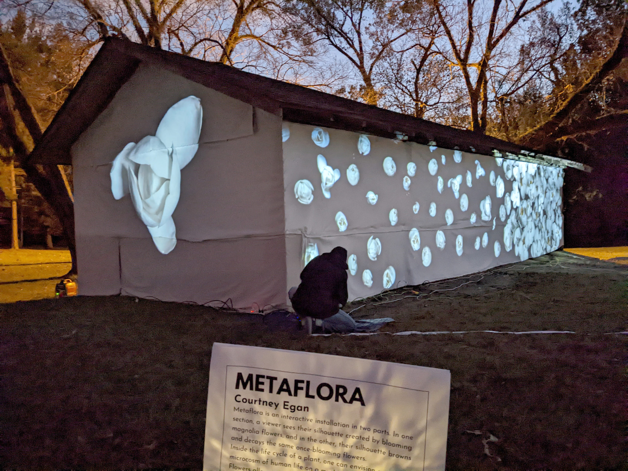 Metaflora at Allumer Natchez – Courtney Egan